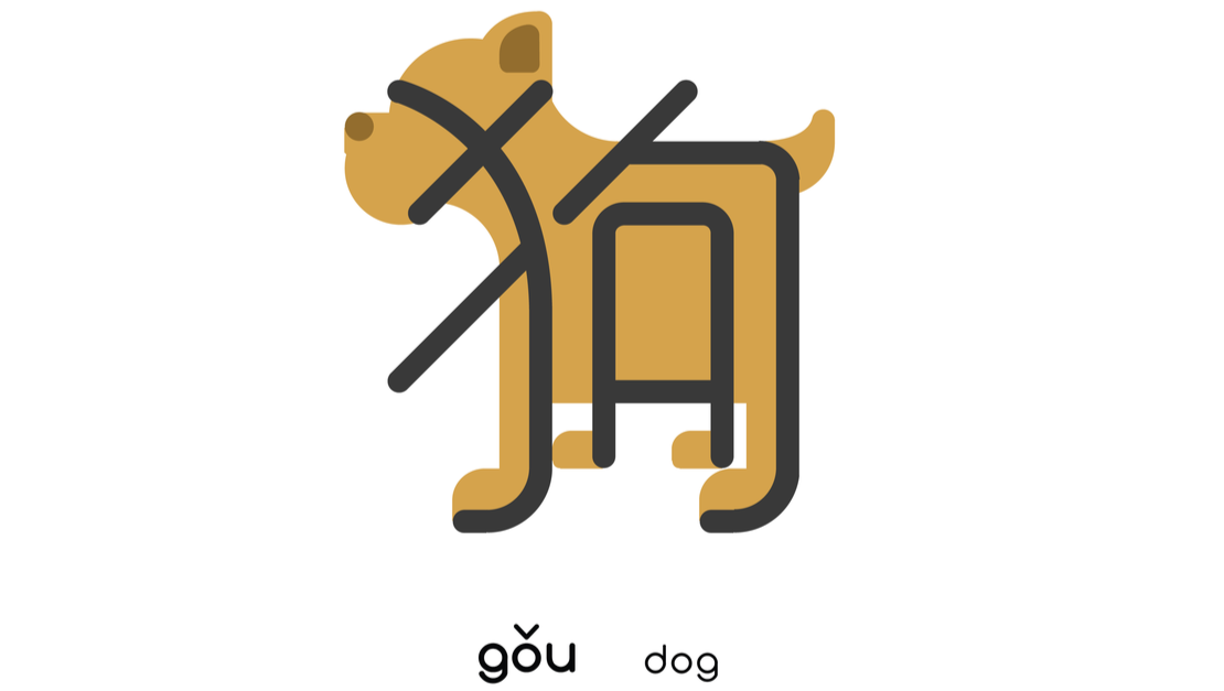 330 hours from zero to fluent | Let's learn Chinese